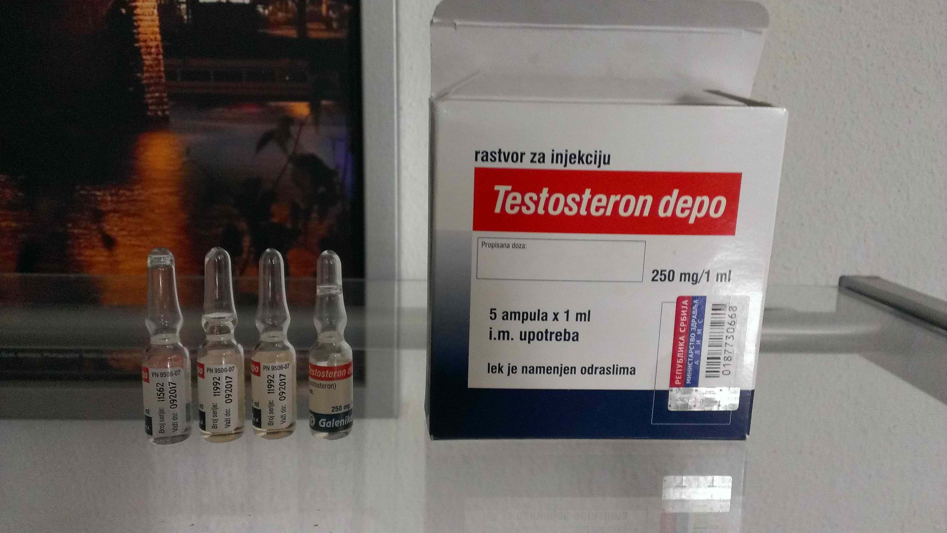 testosteron depo/galenika in 81243 Muenchen Bodybuilding